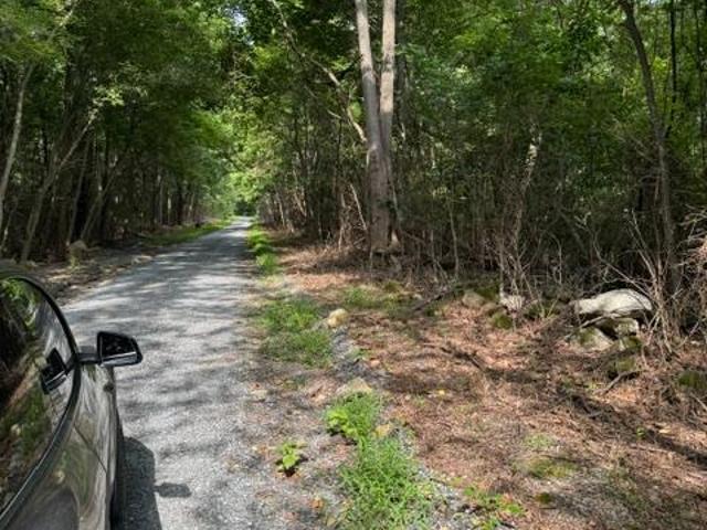 Smith Run Road