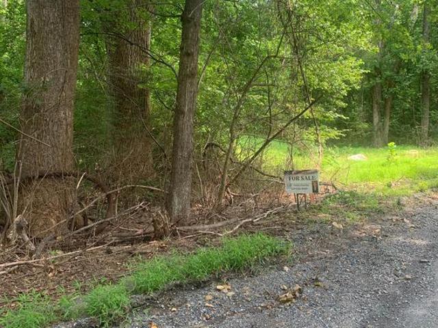 Smith Run Road