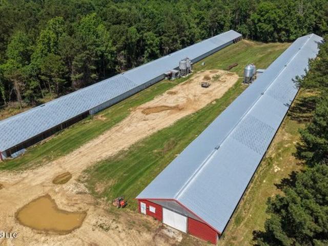 Smithtown Chicora Rd, State Line, MS 39362