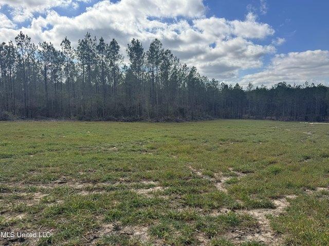 Smiley Honea Rd, Magnolia, MS 39652