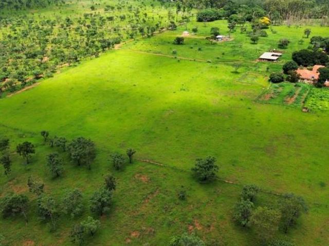 SMLN SETOR DE CHÁCARAS LAGO NORTE JERIVÁ LOTE 500 M² R$ 98.000,00 02 JUNTOS POR R$ 196.000,00
