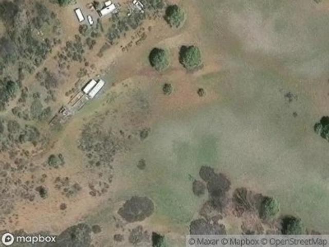 Snow Goose Pl