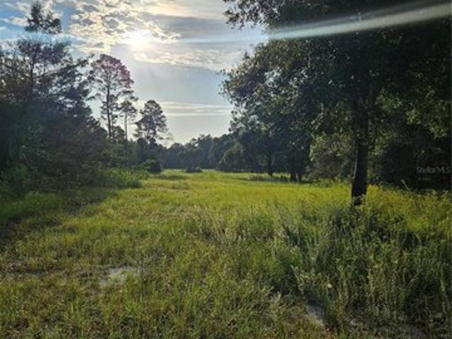 Snow Hill Rd, Geneva, FL 32732