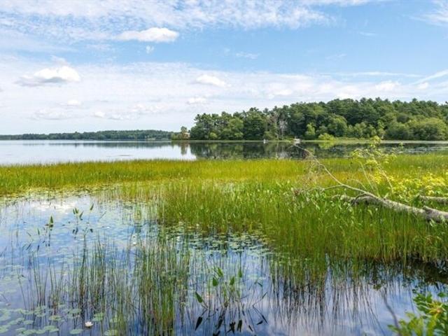 Snows Pond Rd, Rochester, Plot For Sale