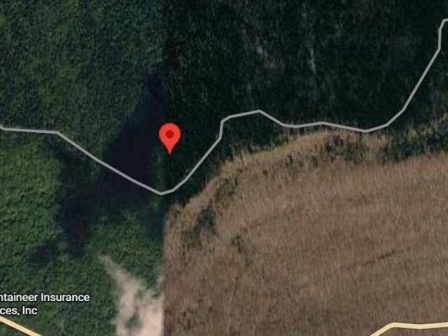 Snowshoe WV 26209 104640795