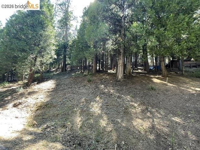 Sno Bowl Rd Parcel 34, Long Barn, CA 95346