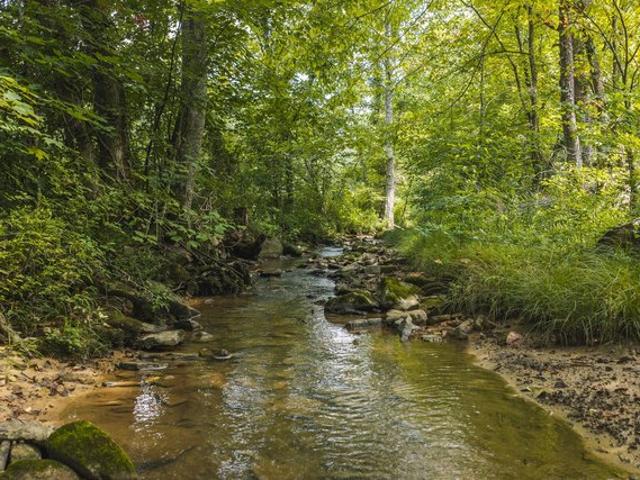 Snake Hollow Rd, Sneedville, TN 37869
