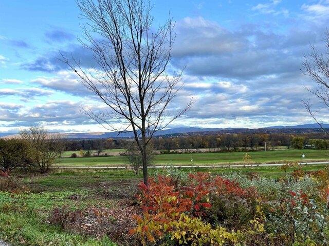 Snake Mountain Rd Lot,weybridge, Plot For Sale