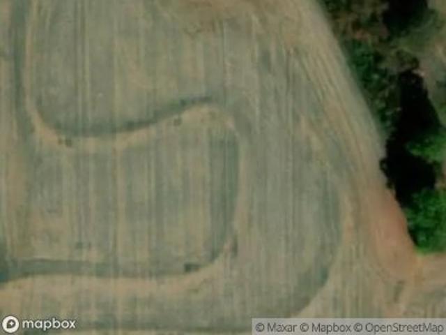 Snake Rd