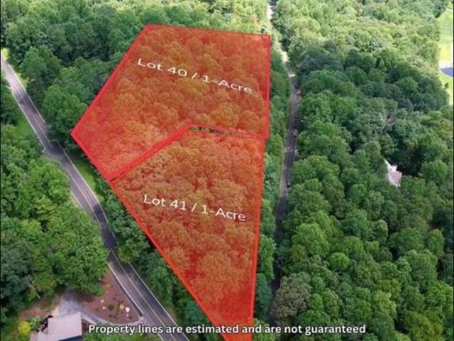 Snap Dragon Way Lot 40, Landrum, SC 29356