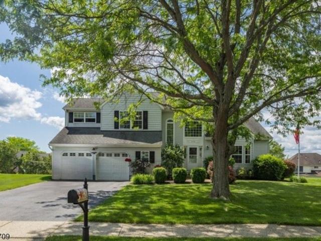 Snead Ct, Mount Olive Township, Home For Sale