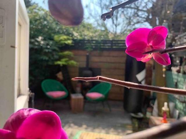Snug single room with private shower available immediately
