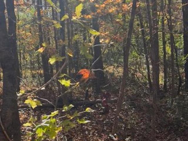 Snuggs Park Rd, Albemarle, NC 28001