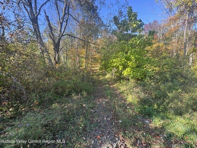 Snydertown Rd Lot 2, Craryville, NY 12521