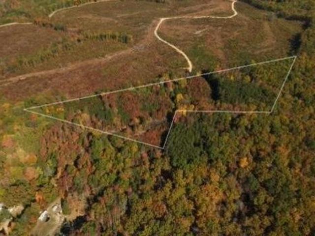 Spotsylvania VA 22408 104898873