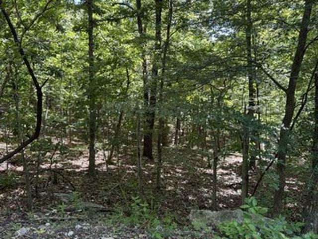 Spokane Dr, Cherokee Village, AR 72529