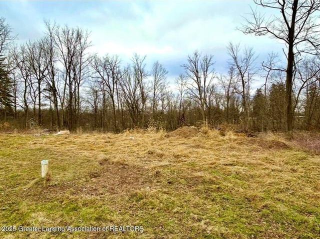 Spaulding Ct, Bellevue, MI 49021