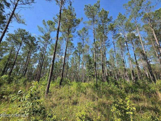 Spay Rd, McCool, MS 39108