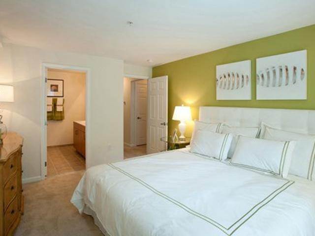 Spa Cove Apartments Chesapeake