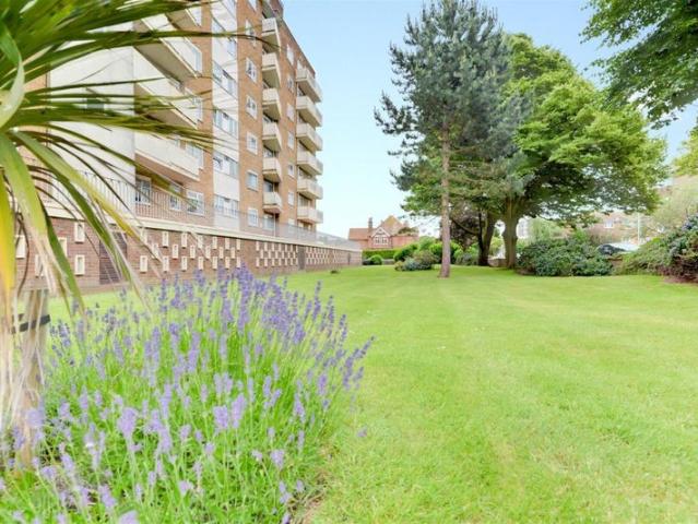 Spacious 1 bed newly renovated