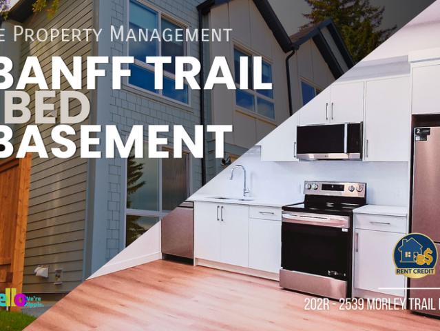 SPACIOUS 1 BEDS, 1 BATHS BASEMENT SUITE | PRIVATE REAR ENTRY & ABUNDANT NATURAL LIGHT