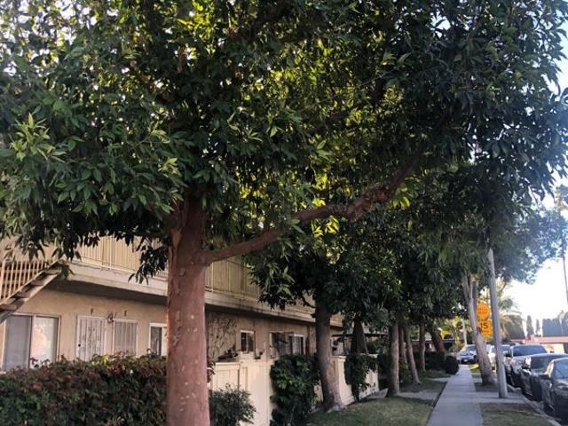 Spacious 1 BR upstairs unit