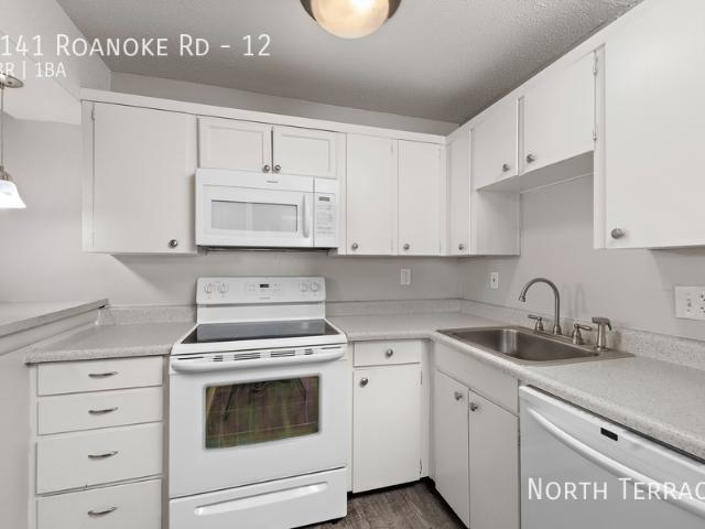 Spacious, Updated 2 BR in Volker Roanoke Neighborhood Midtown