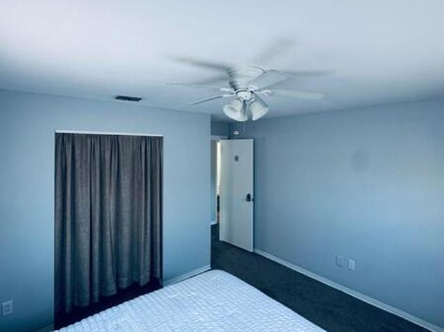 Spacious & Affordable Rooms | Great St. Pete Location + Huge Backyard
