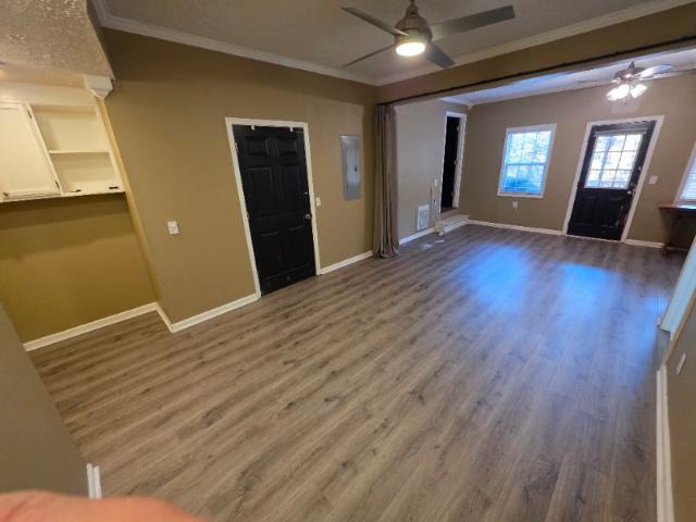 Spacious Basement Studio