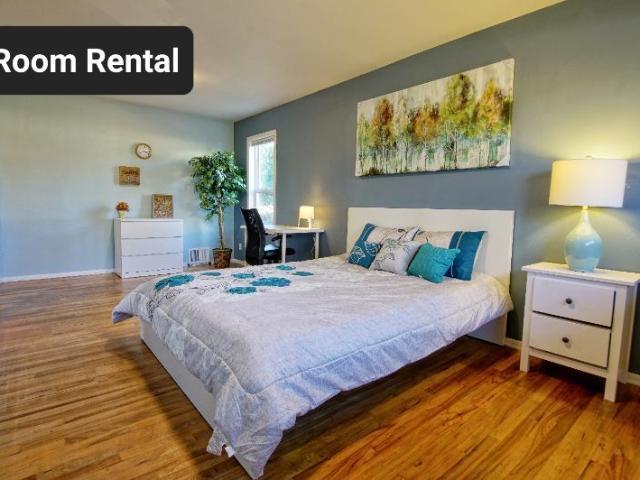 Spacious BR in a clean Ballard house