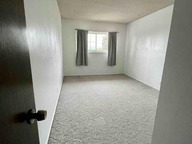 Spacious BR in shared home