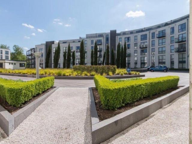 Spacious Fully Furnished 1 Bed Apartment Near QE!