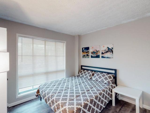 Spacious Fully Renovated Forest Park Home