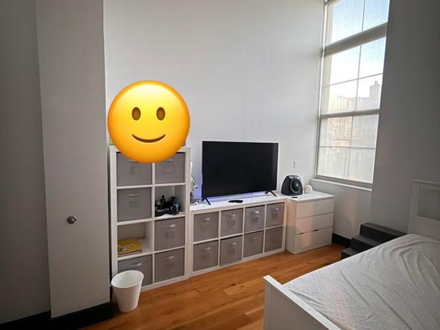 Spacious Furnished Bedroom for Rent