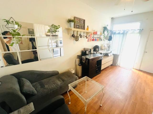 Spacious Furnished Summer Apartment in Greenpoint
