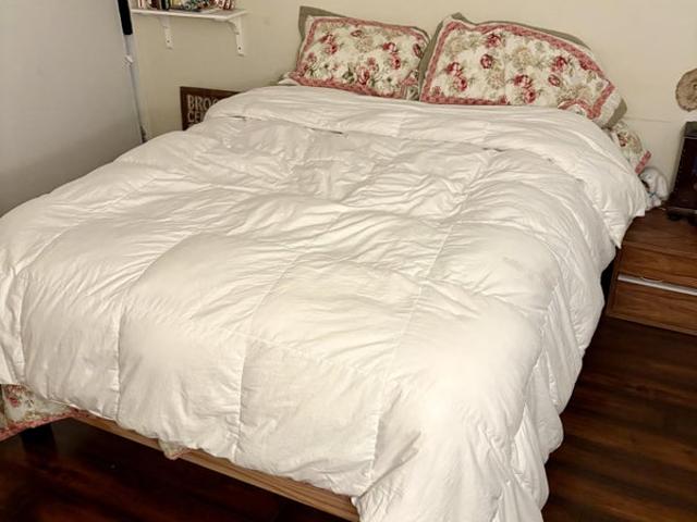 Spacious Furnished Room for Rent