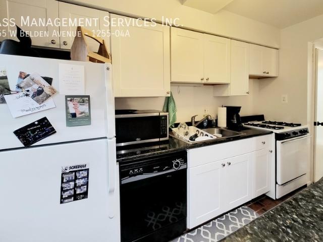 Spacious Lincoln Park 1 bed with HUGE Private Outdoor Space, Fireplace, Dishwasher