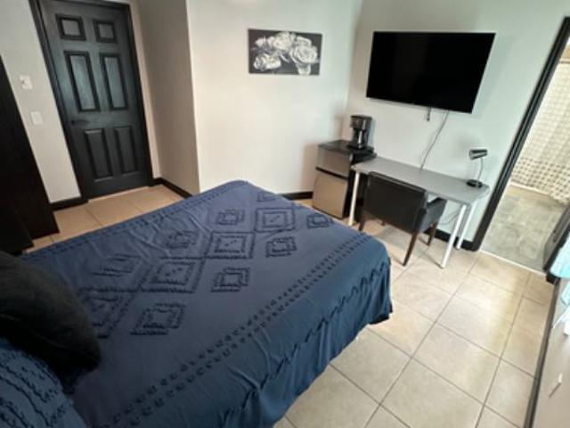 SPACIOUS MASTER ROOM WITH PRIVATE BATHROOM