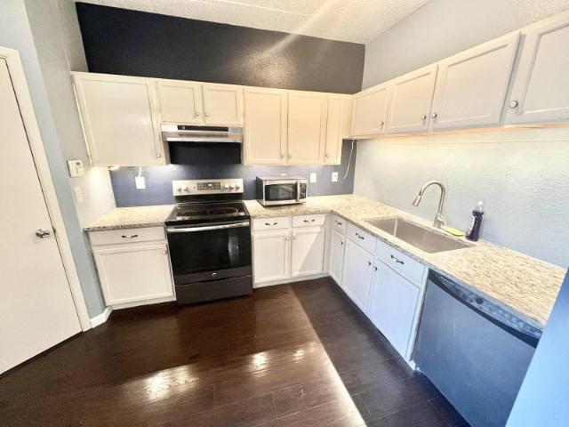 Spacious Newly Renovated San Antonio Home | Large