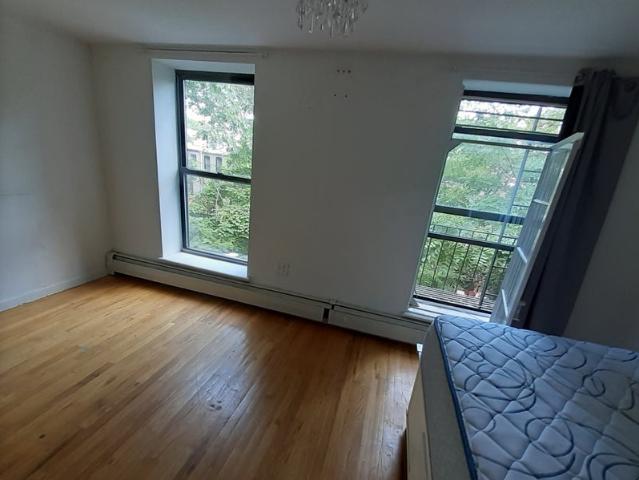 Spacious Room for cat friendly person
