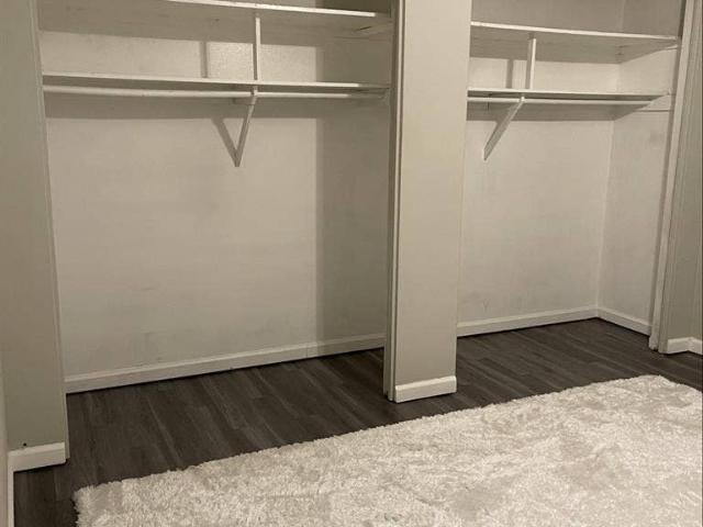 Spacious room for rent