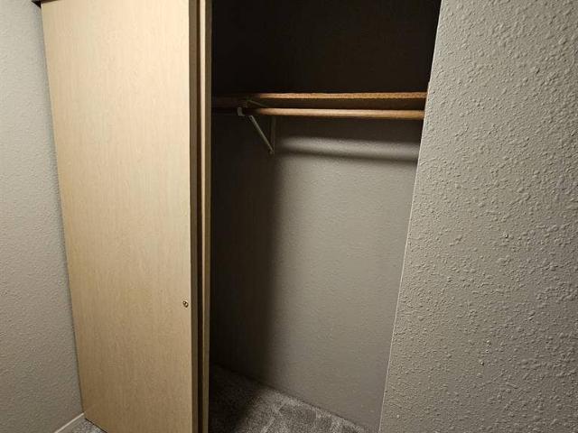 Spacious room for rent