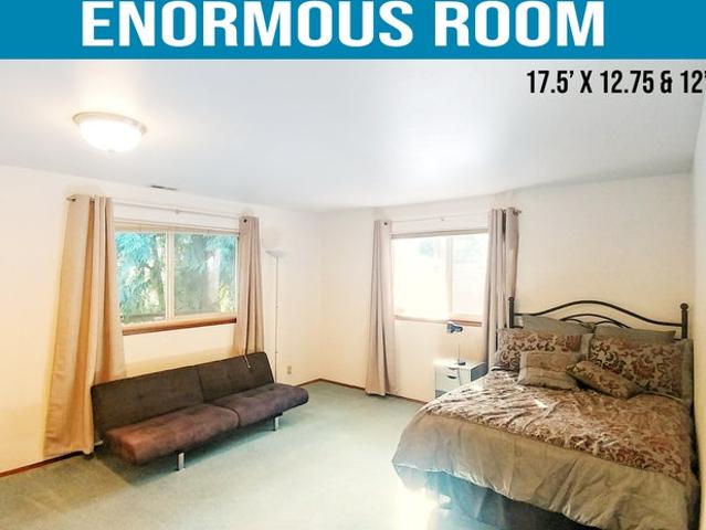 Spacious Room, Quiet Wooded Retreat