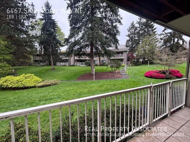 Massive 1 Bedroom Condo with AC, Pool and Reserved Parking!