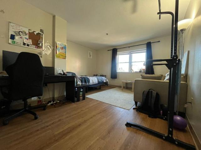 Spacious South End Room for Rent
