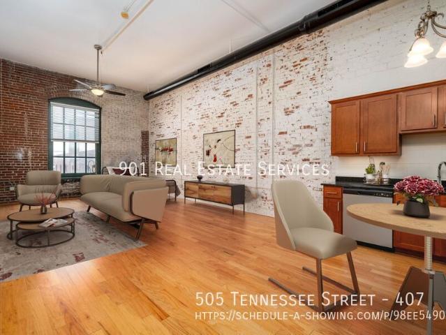 Spacious Studio in South Main