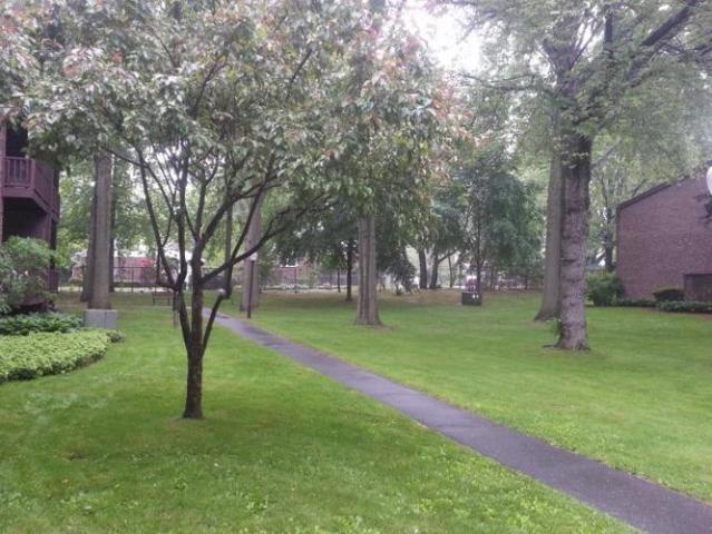 Spacious Studio in Park Like Setting
