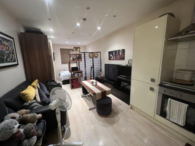 Spacious Studio NW11 Modern