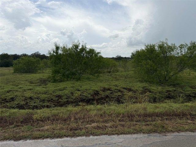 Spanish Oak Blvd Lot 6A, Lockhart, TX 78644