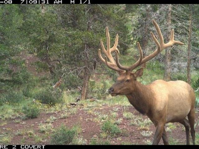 Spanish Peaks Ranch Ests Unit 1, Aguilar, CO 81020